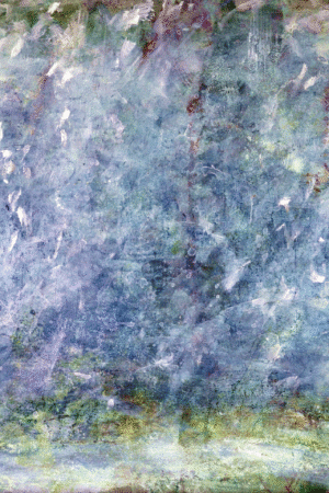 Sakura Spring Cherry Blossoms - The Art Of Kuzma